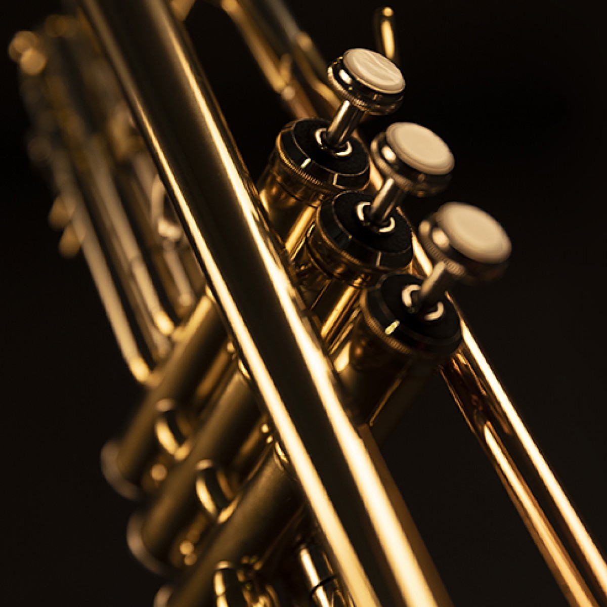 Stagg Music - Instruments de Musique » Stagg